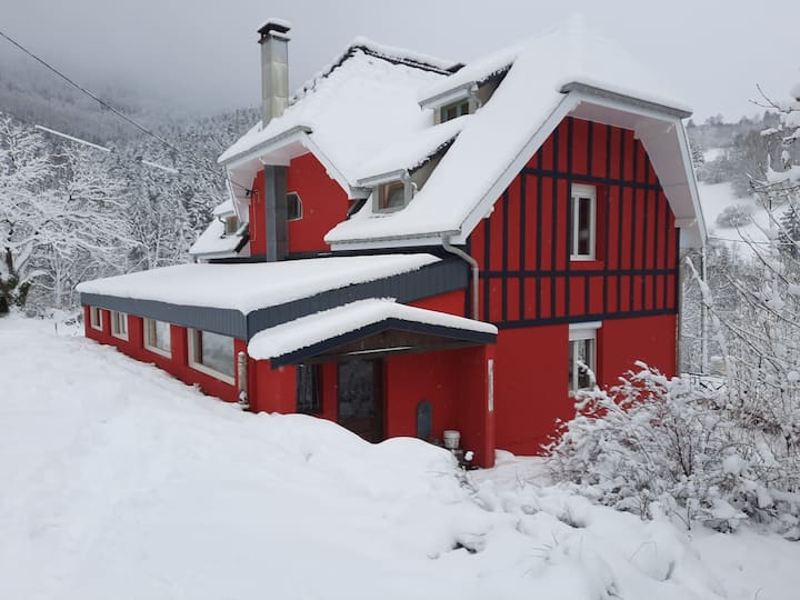 Fabulous Vosges Mountain House. - Bussang