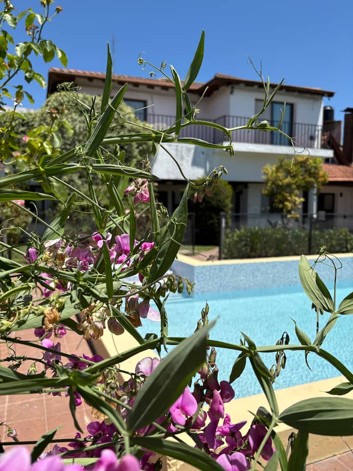 Moderno Monoambiente-la Calleja - Olavarría