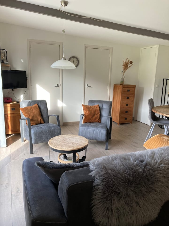 Bungalow Op Boerderij Met Melkkoeien - Texel