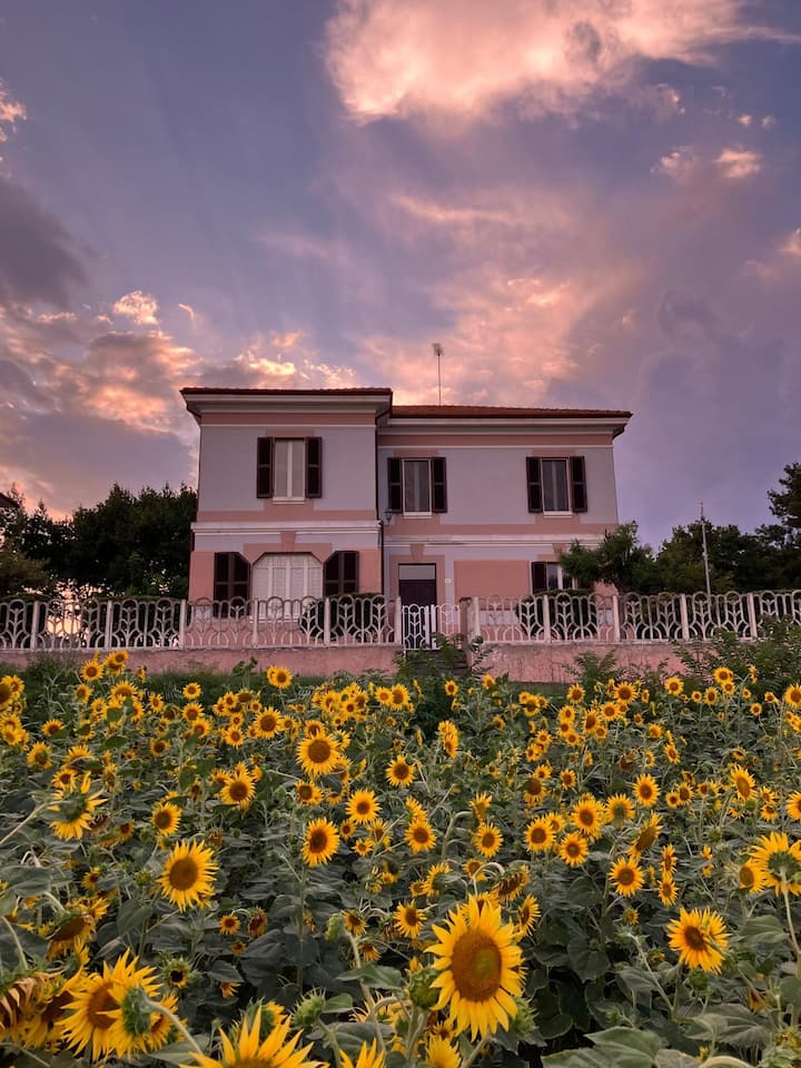 Villino Con Ampio Giardino E Parcheggio Esclusivi - Senigallia