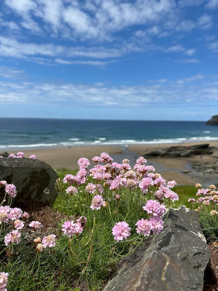 Cornwall - Near Port Issac & Polzeath - Boscastle