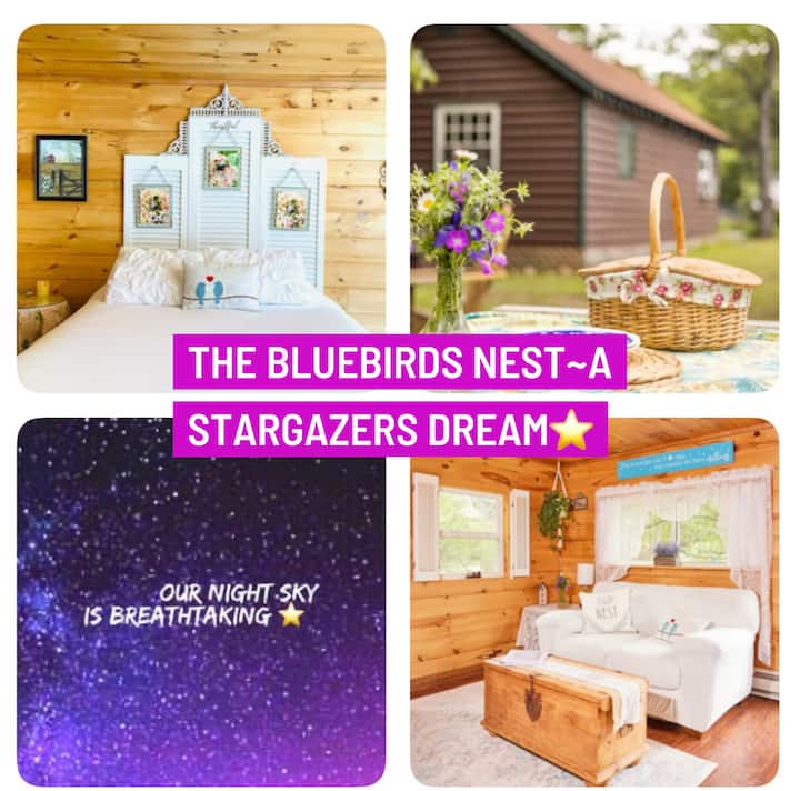 Romantic Getaway~the Bluebirds Nest - Adirondack Mountains