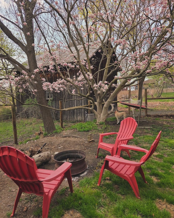 Spacious Fenced Patio/yard- No Pet Fee, Sleep In! - Dundee, NY