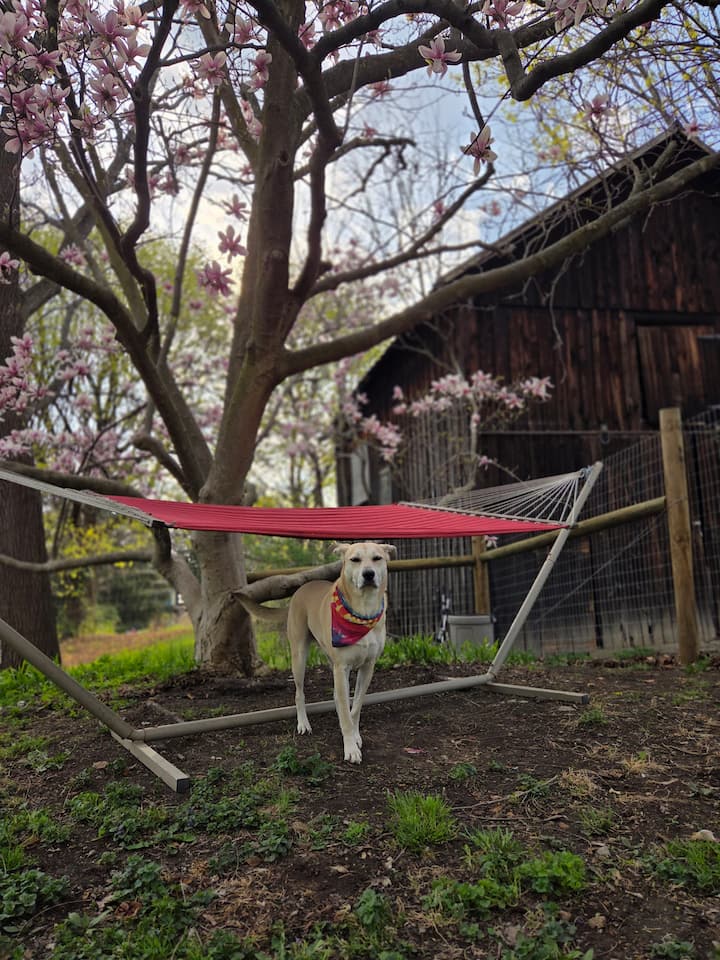 Pet-friendly Wine Trail Stay | Fenced Yard + Patio - Dundee, NY