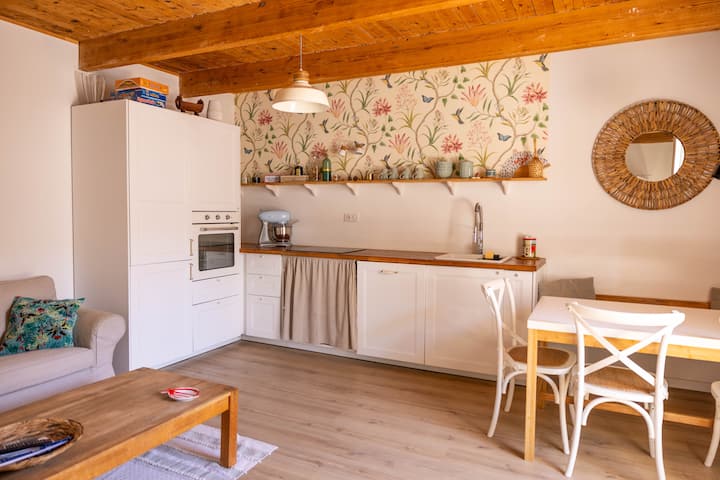 Baradoz Enez-tudi - Île-Tudy