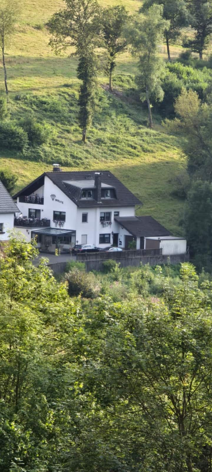 Groot Appartement In De Vulkaneifel - Gerolstein