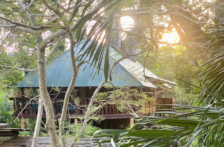 Baobab Canopy Treehouse -Jungle, Oasis, Pool, Wifi - Diani Beach
