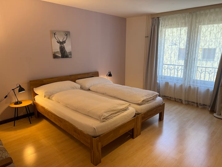 Downtown Apartment 52 For 6 Guests - Interlaken