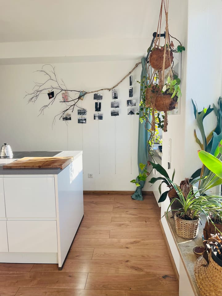 Sunlit Architect's Rooftop Penthouse - Grünwald