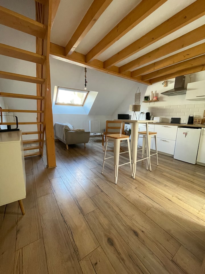 Studio Cosy Proche Gare Sncf / Hypercentre - Amiens
