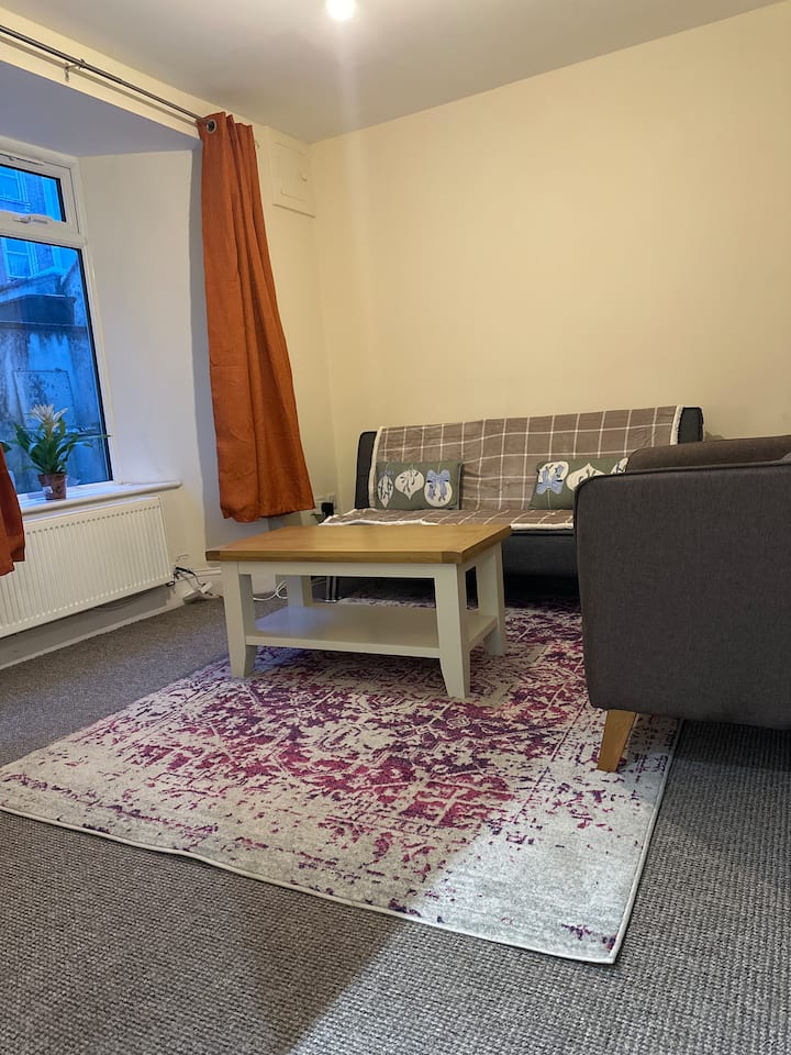 The Albert - Bristol