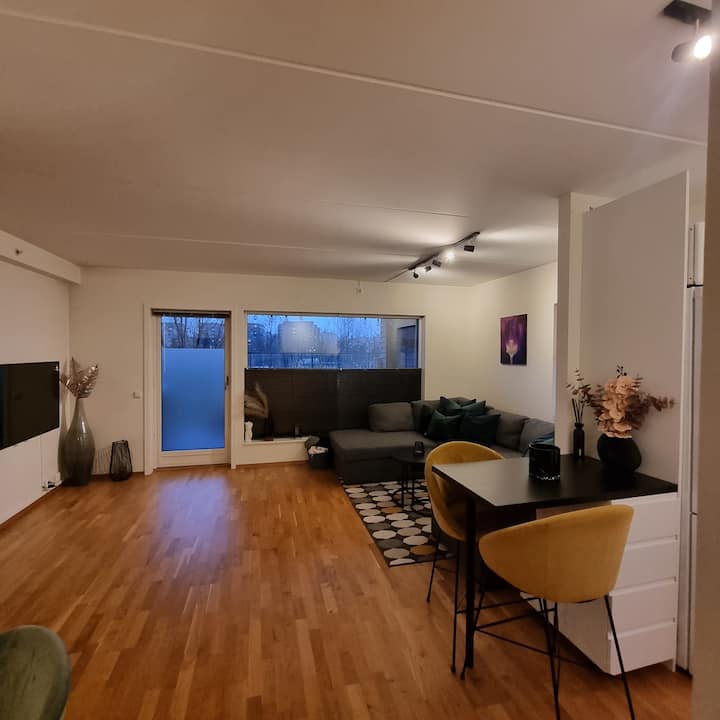 Sentral Leilighet I Rolig Område I Oslo. - Oslo
