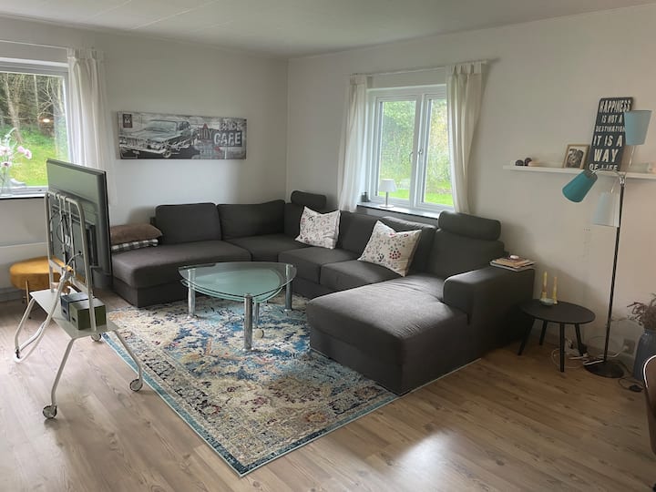 Rummeligt Fritidshus - Denmark