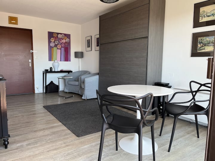 Dax Studio 3* Avec Terrasse Centre Ville. - Dax