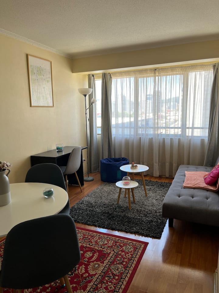 Agradable Depto. Con Estacionamiento Gratis - Concepción, Chile