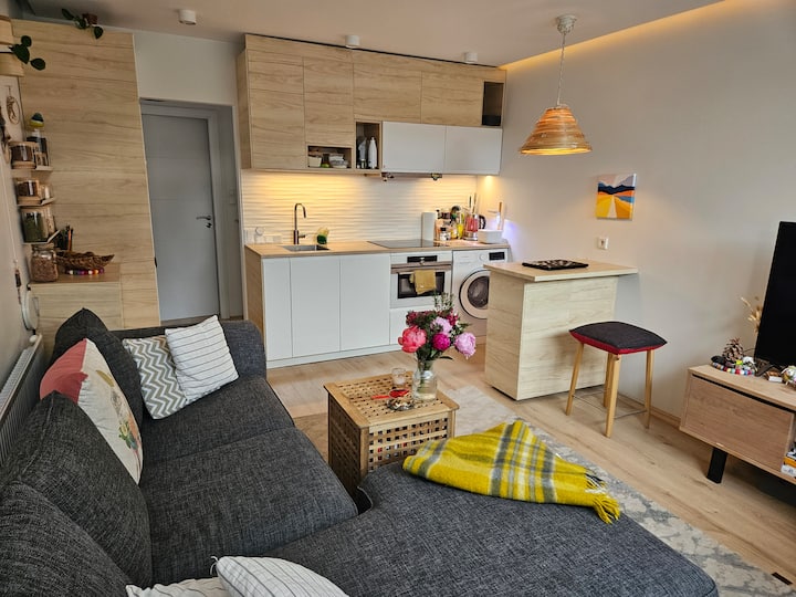 Cozy Studio Apartment - Reykjavik