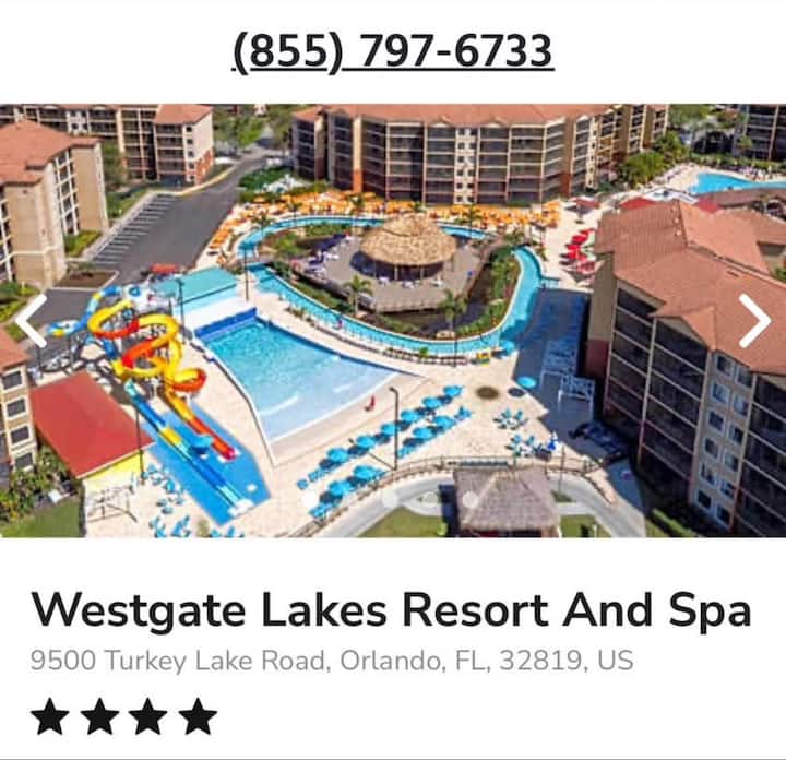 Westgate Lakes & Spa Condo Orlando Fl For 16 Ppl - Orlando, FL