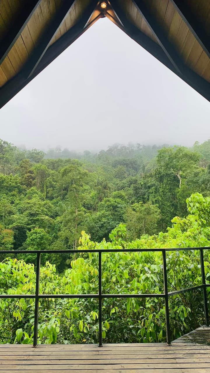 Peaceful Family Or Twin Cottage In The Rainforest - Sri Lanka