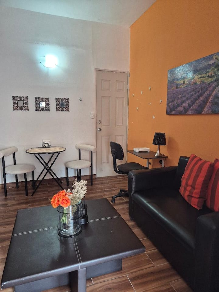 Suite En El Centro - San Luis Potosí