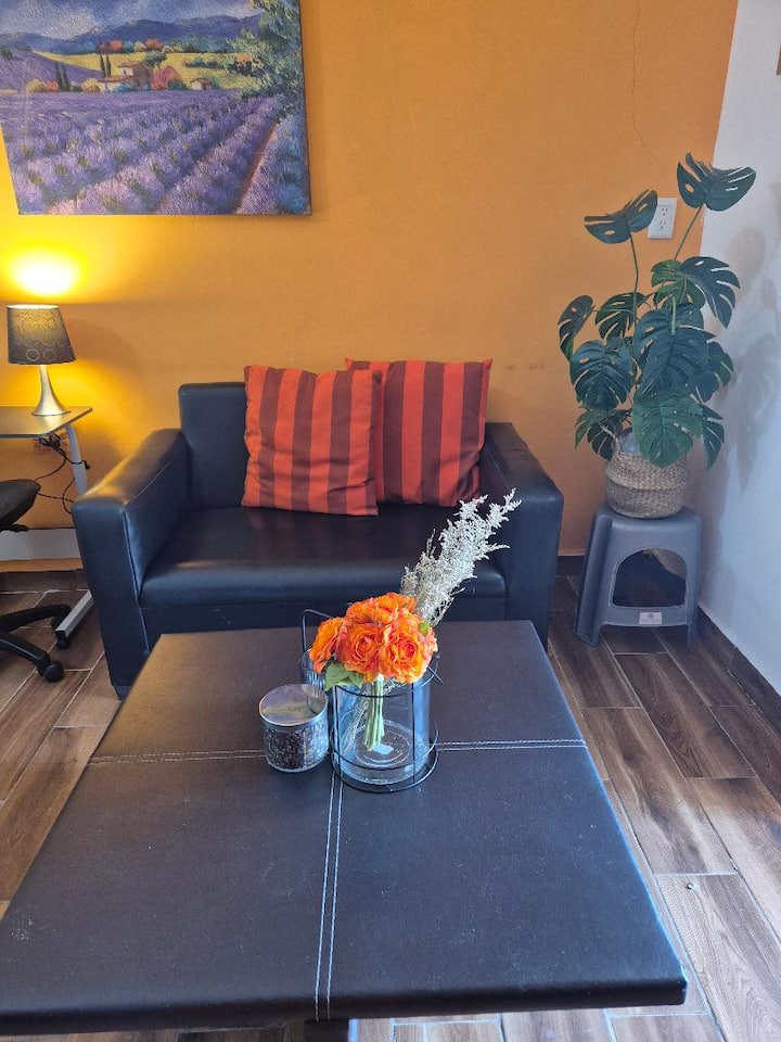 Suite En El Centro - San Luis Potosí