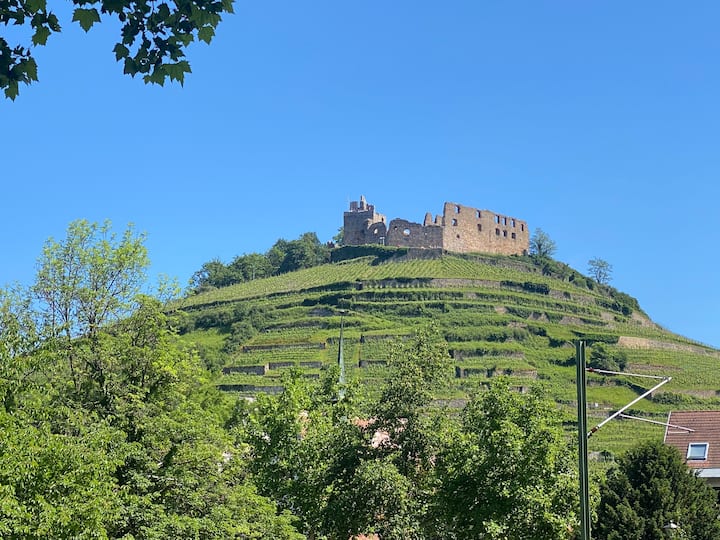 Stylische Wohnung Mit Sonnenbalkon - Staufen im Breisgau