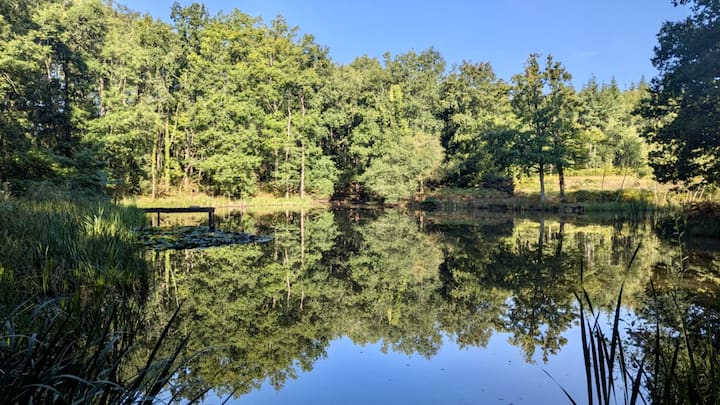80 Acre Wood, Dutchtub, Lake, Treehouse & Zip-line - Wiltshire