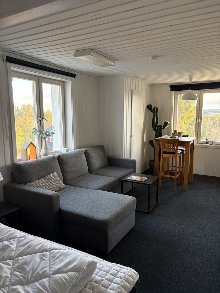 Mysig Studio Lägenhet För 3 Pers Nära ÖStersund - Östersund