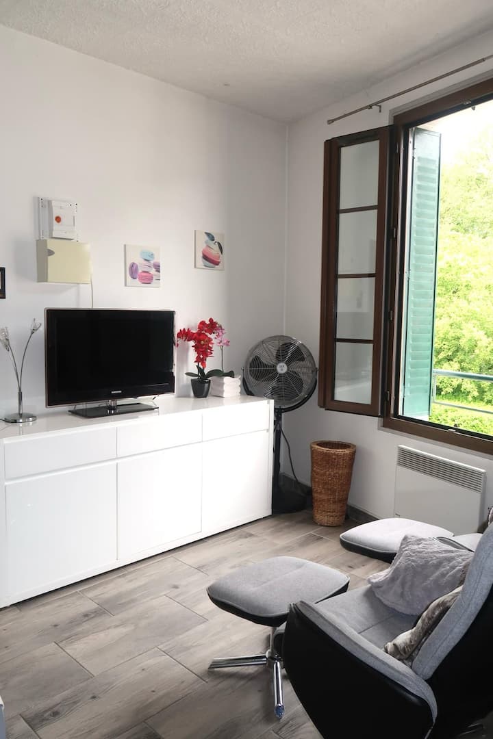 Studio Avec Vue Sur Parc De Verdure - Aix-les-Bains