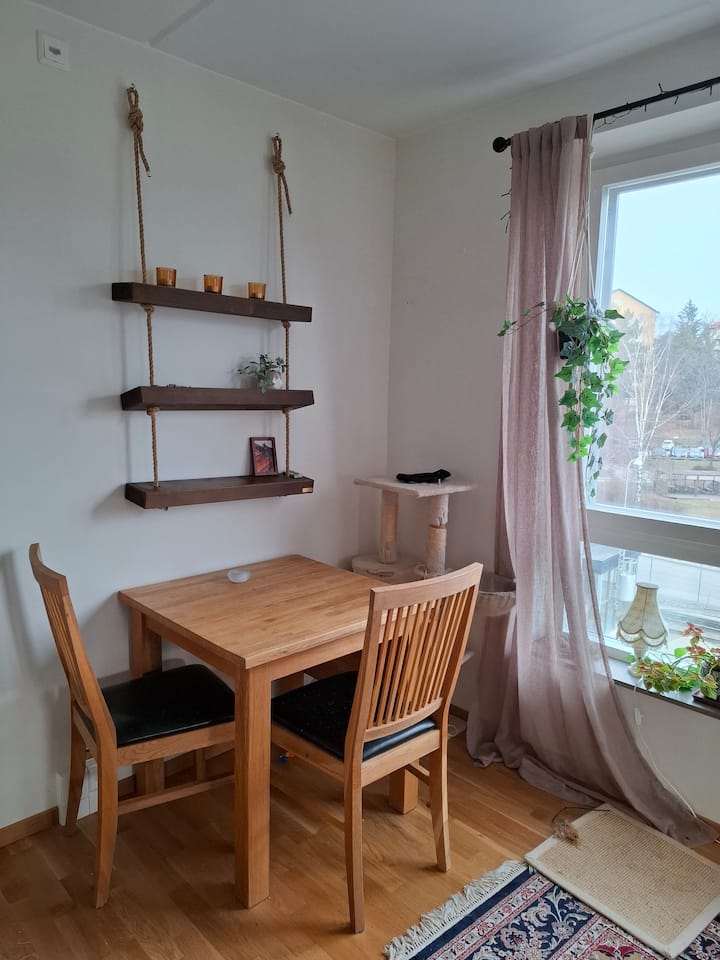 Cozy Apartment A Short Ride From The T-central! - Huddinge