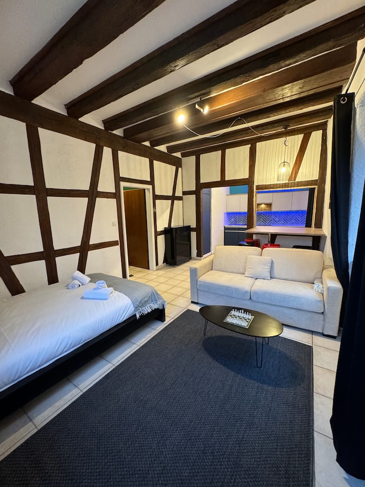 Suite Schwendi : "L'authentique" En Hypercentre - Colmar