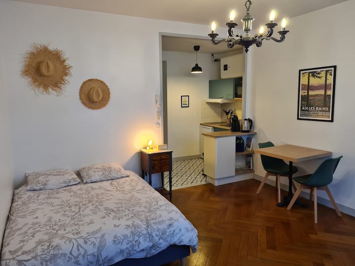 Studio Cocooning Hyper Centre Classé 2** - Viviers-du-Lac