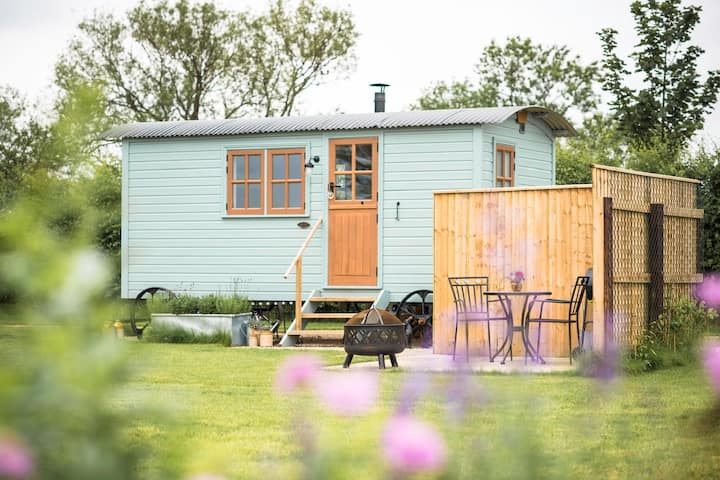 Morndyke Shepherds' Huts - Cottontail - Thirsk