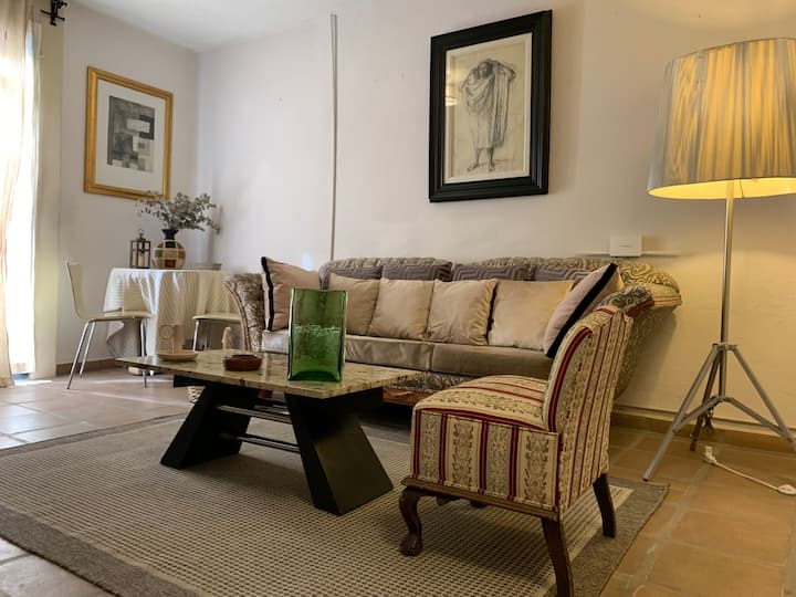 Private Art Apartment, In Centro Histórico. - San Miguel de Allende
