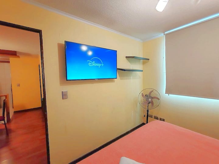 Santiago Centro Espacioso Departamento 2 Dorm - Santiago