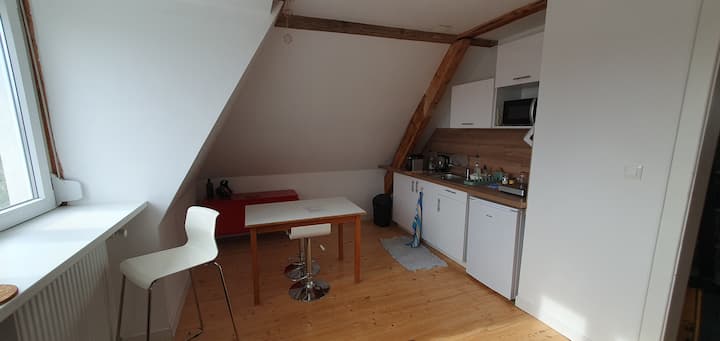 Cosy & Confortable : Logement 2 Pièces Independant - Lingolsheim
