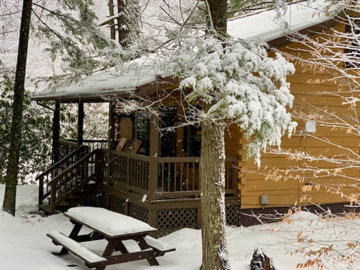 The Erica Cabin @ Elk Springs Resort - Kumbrabow State Forest, Huttonsville