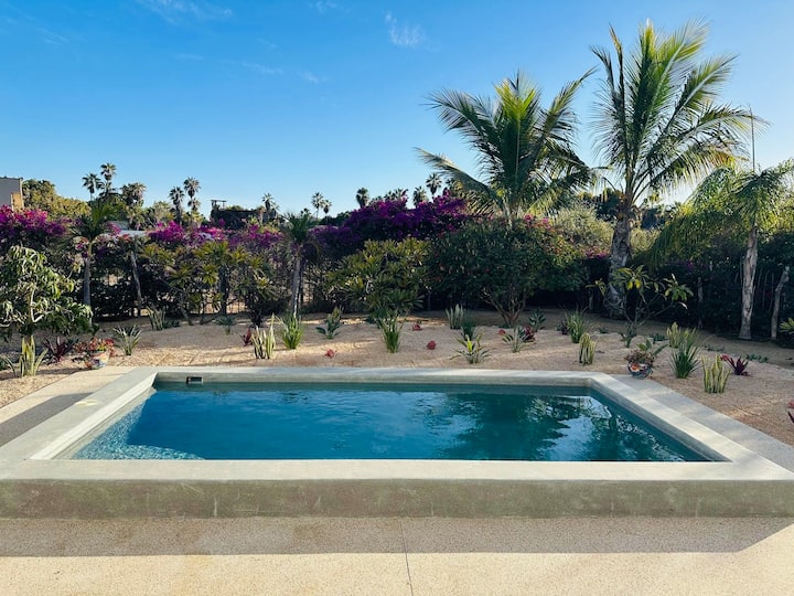 Fall Asleep To Ocean Waves; Awaken To Birdsong - Baja California Sur