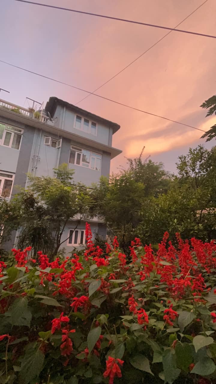 Suburban Homely Haven - Kathmandu