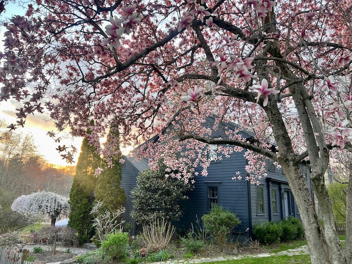 Lily Pond Farmhouse-connecticut/westchester Border - Bedford, NY