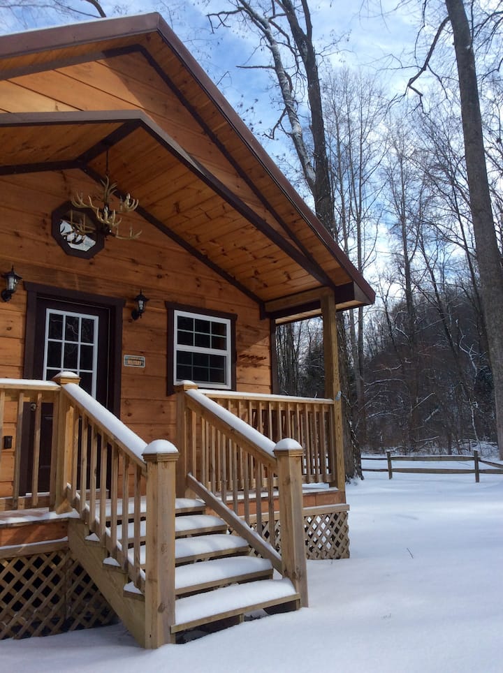 Ellie May Maxi Primitive Cabin - Kumbrabow State Forest, Huttonsville