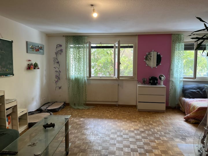 Magnifique Double Chambre Au Coeur De Lausanne - Lausanne