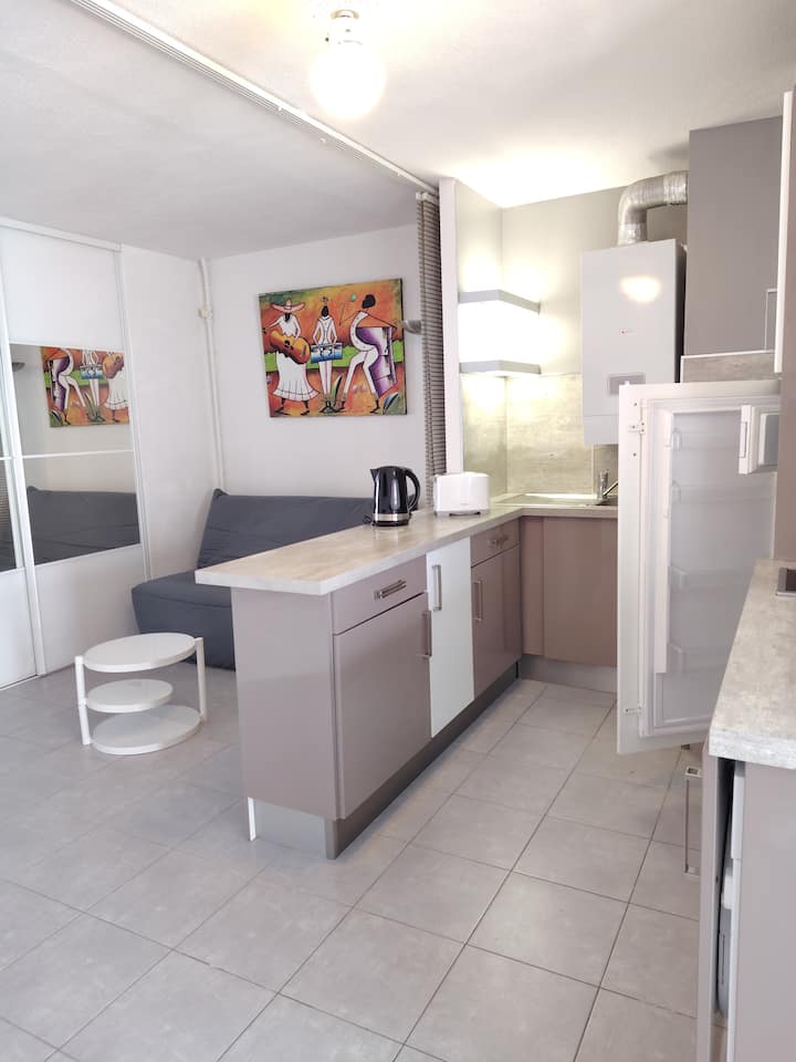 Appartement T2 Face Etang De Thau Et Garage - Balaruc-les-Bains