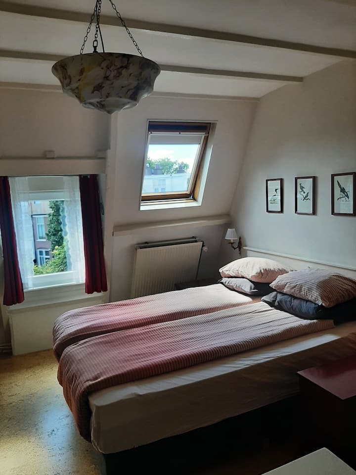 Thehaguemansion City&beach Room A - Monster