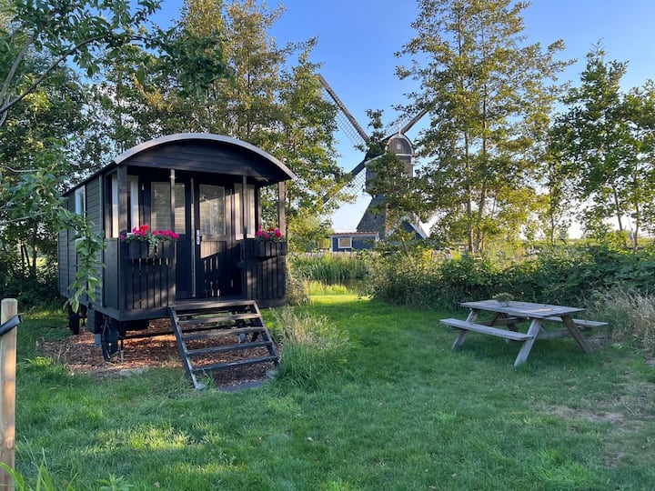 Pipowagen In Natuurgebied De Zouweboezem - Leerdam