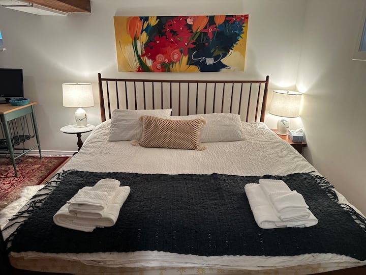 Cozy Refuge Steps From Canal And Landsdowne Park - Ottawa