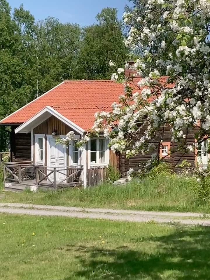 Timrat Hus Vid Havet, Höga Kusten - Härnösand