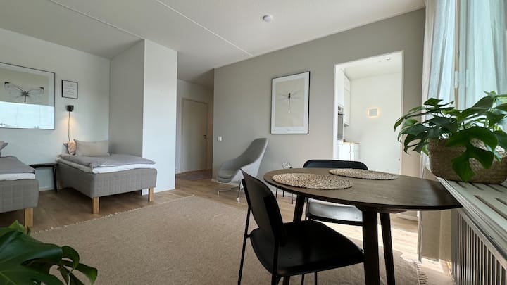 Rauhallinen Yksiö Lähellä Juna-asemaa, Sis Parkki - Helsinki