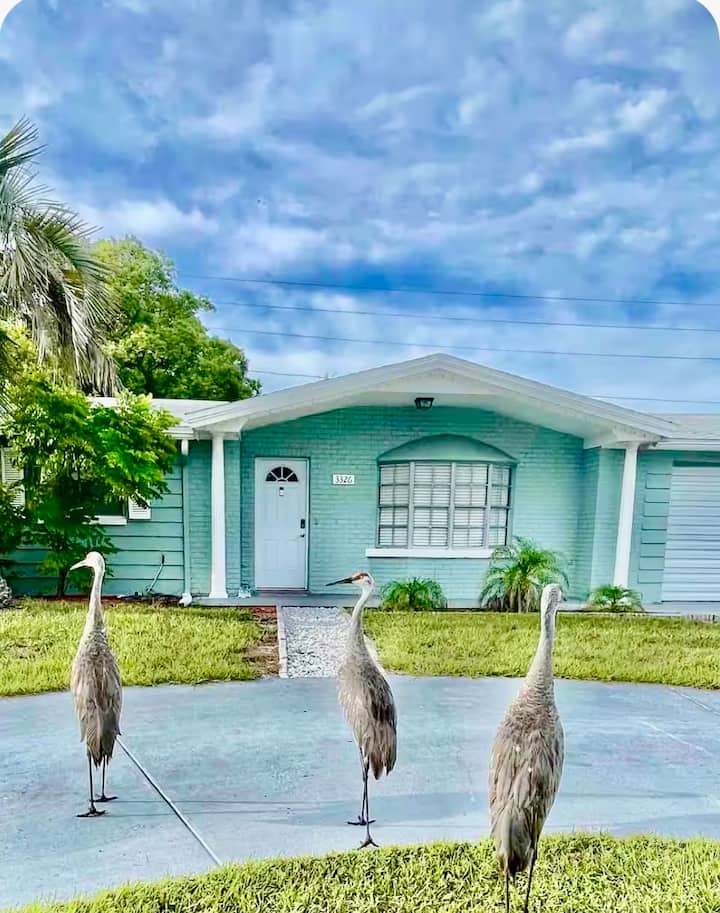 Heavenly Holiday House By The Gulf - Holiday, FL