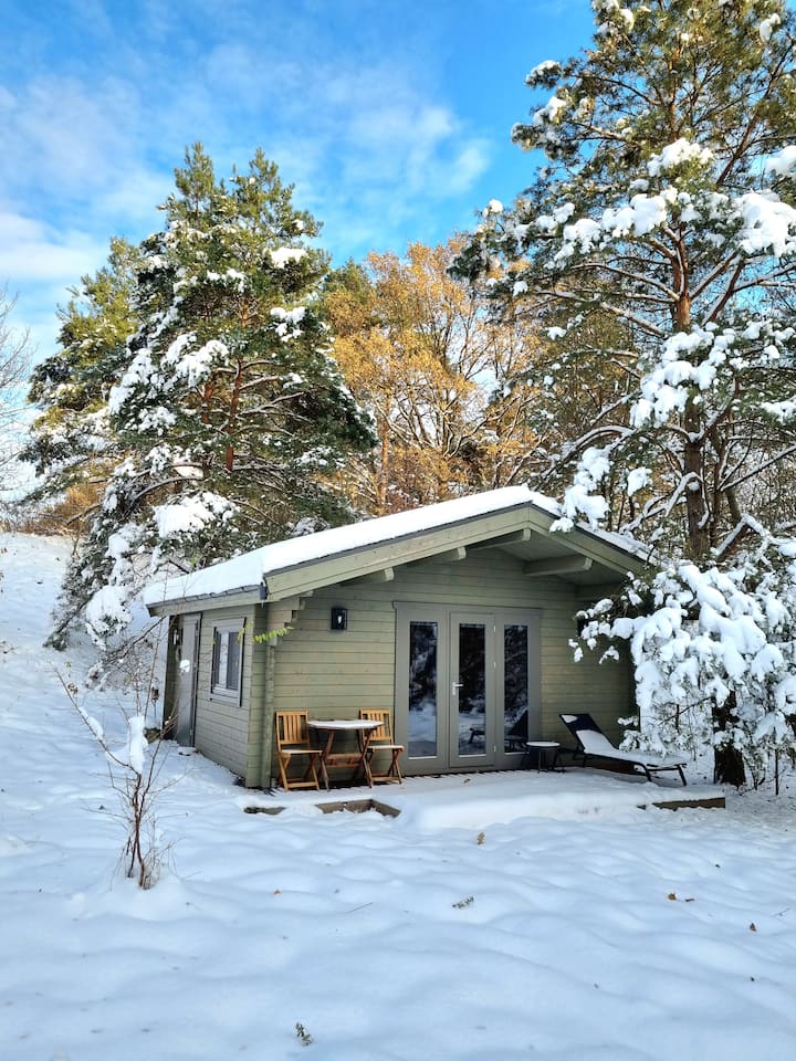 Inthewood Luksusowe Wnętrza I Natura Na Wyłączność - Poland