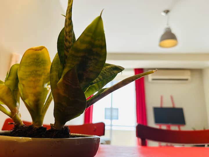 Dpto. 402 Dos Dormitorios Amoblado. Mitre, Centro. - Santiago del Estero